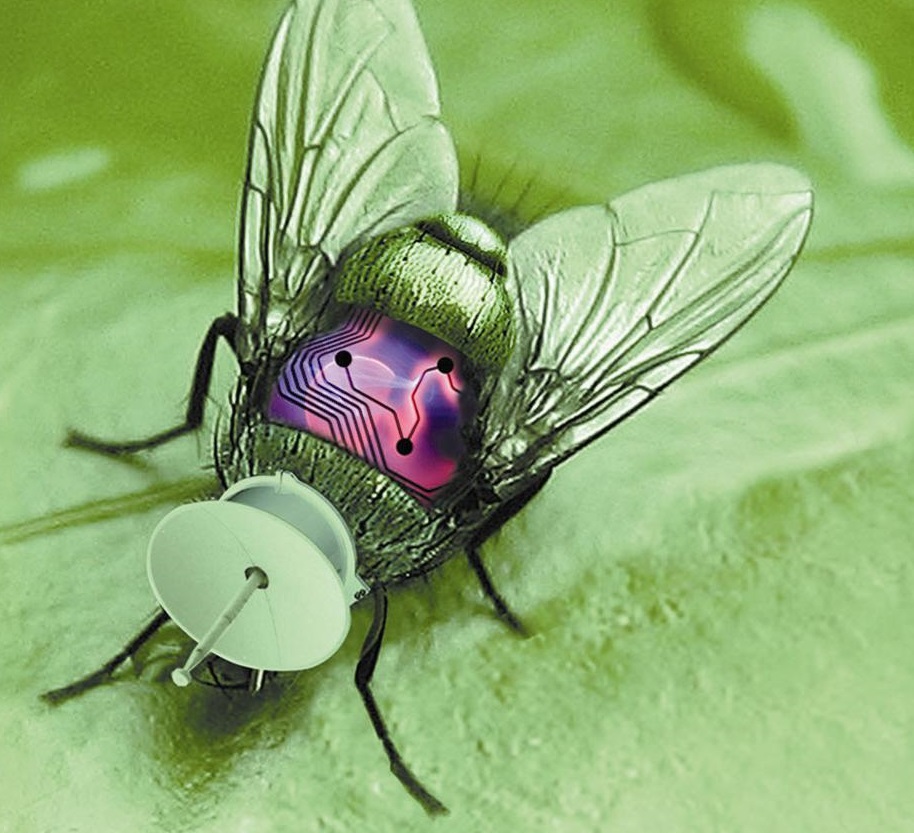 Augureye Express: Invasion of the Micro-Drones!