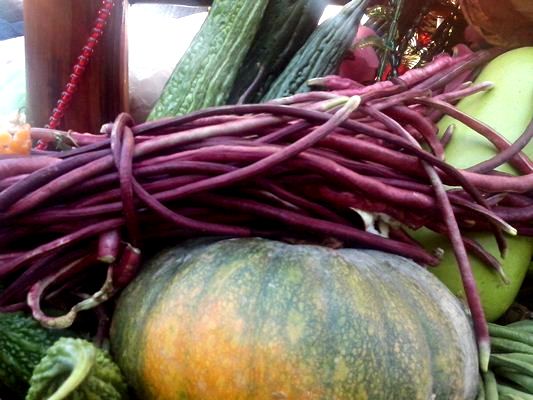 Ilocos: Dinengdeng, Ilocano Dish