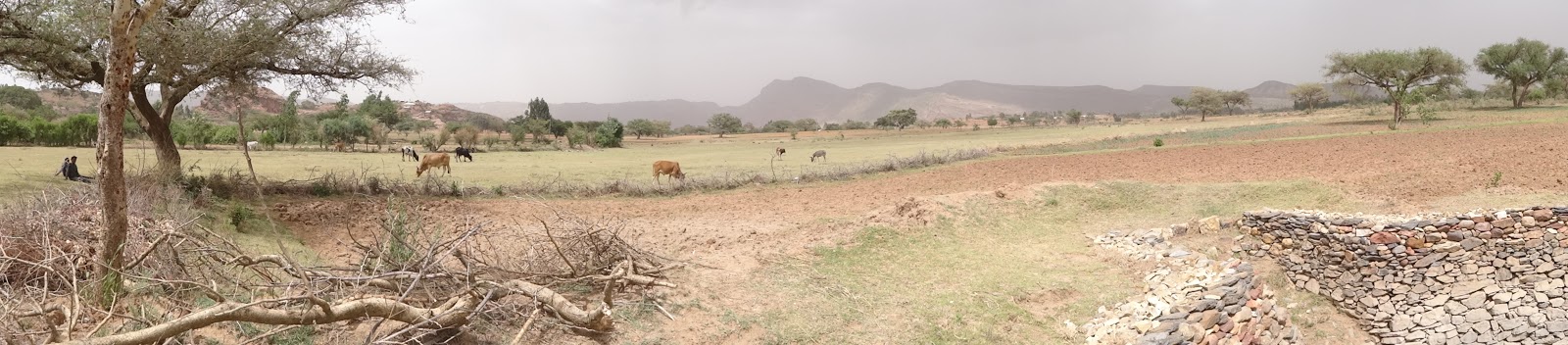 Developments in rural areas across the world: August 2017