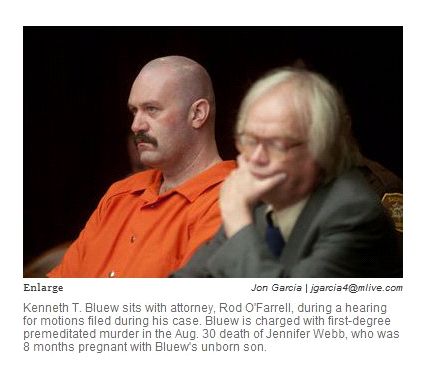 OIDV Project Of Michigan - Officer Involved Domestic Violence Project ...