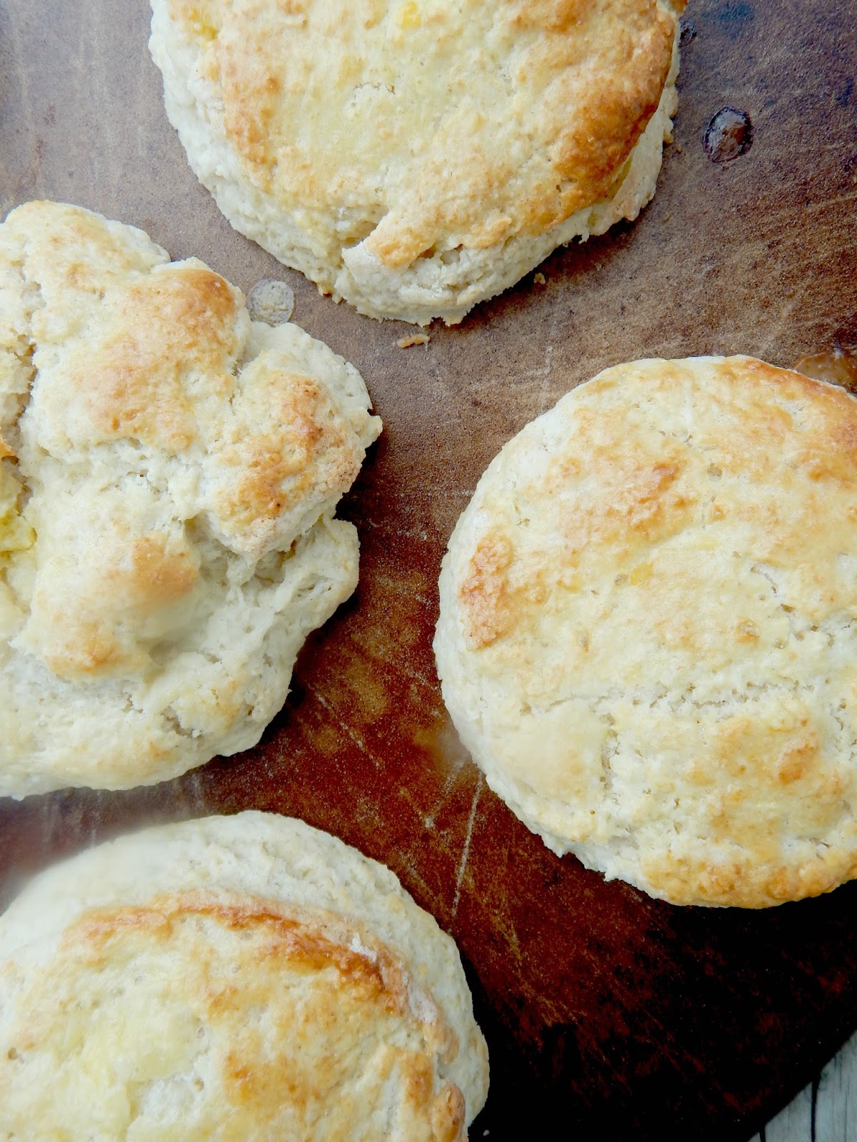 Mile-High Buttermilk Biscuits | Ally's Sweet & Savory Eats