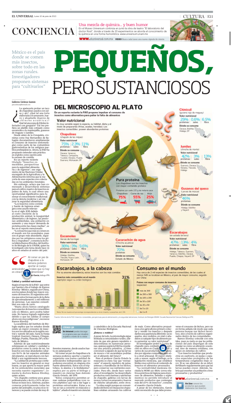 Infografía e ilustración: Insectos comestibles