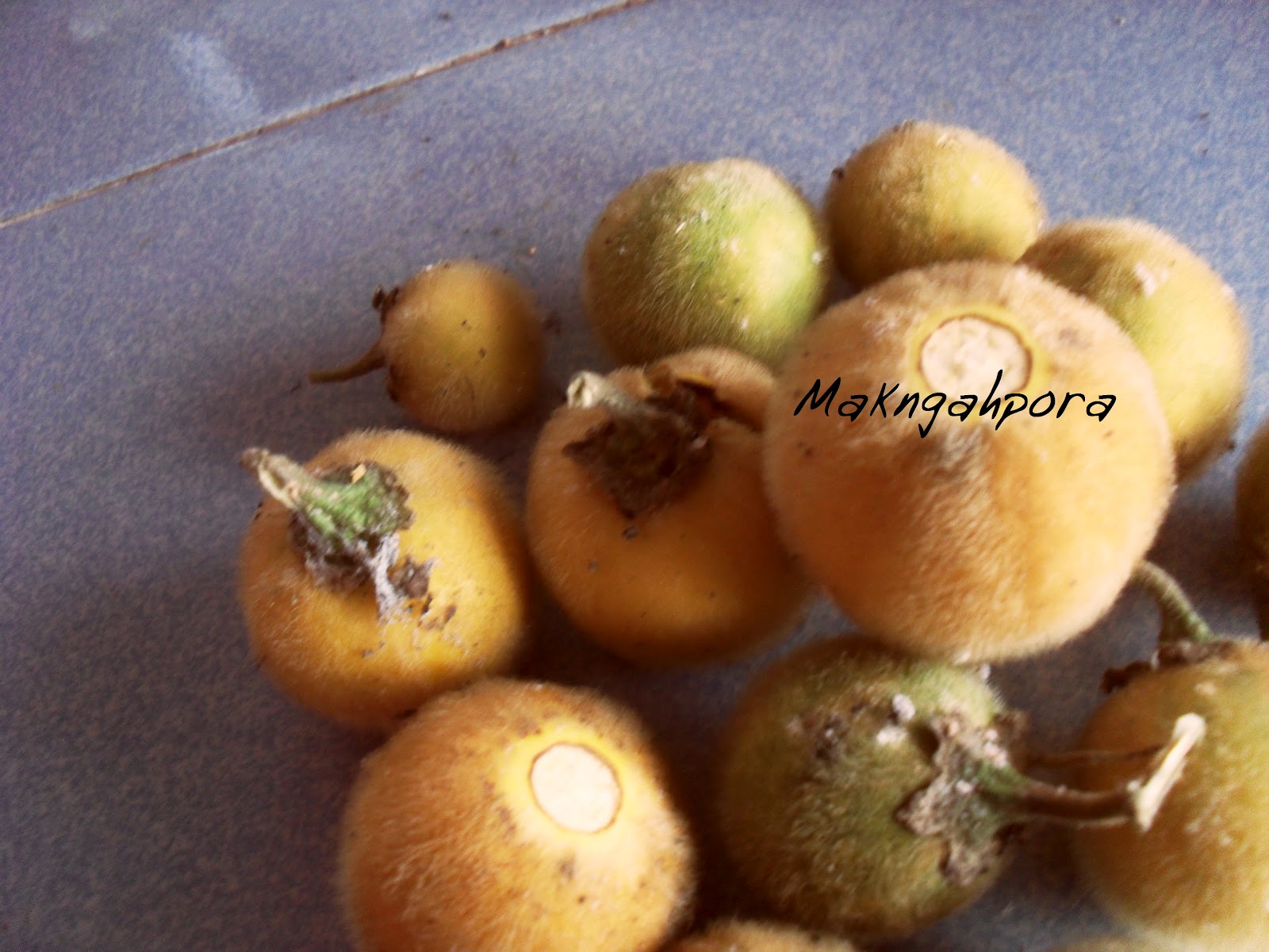 Mak Ngah Pora: Air asam buah terung bulu