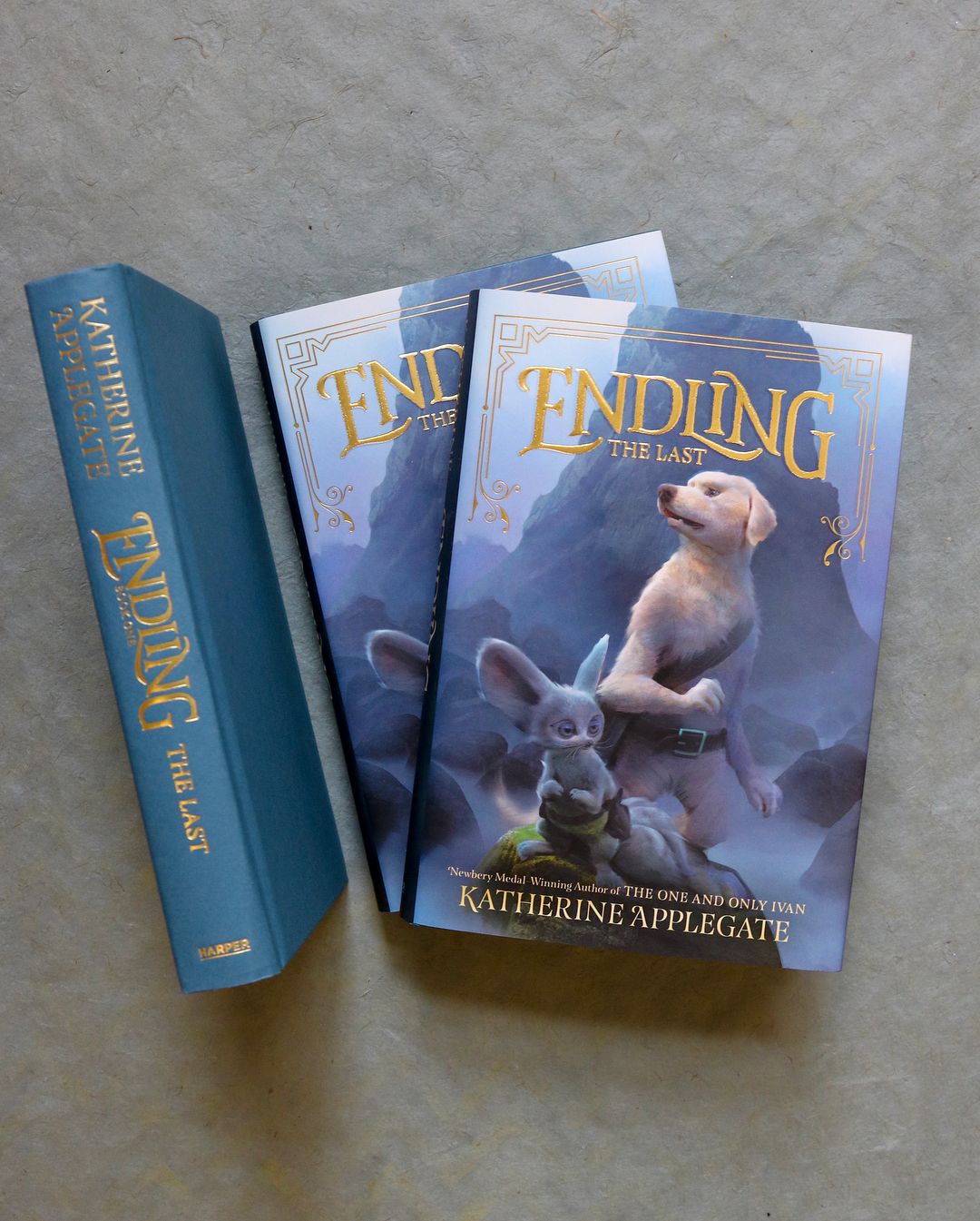 Vorágine Interna: Blog literario: Reseña: La superviviente (La ...