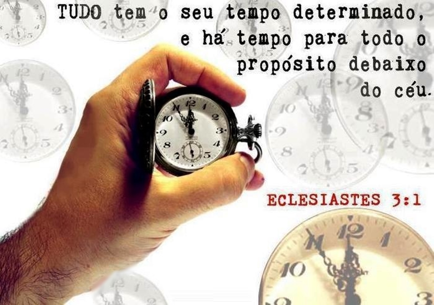 Notas Bíblicas | Belverede: A hora certa