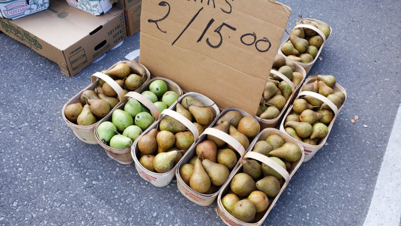Guelph Farmers' Market