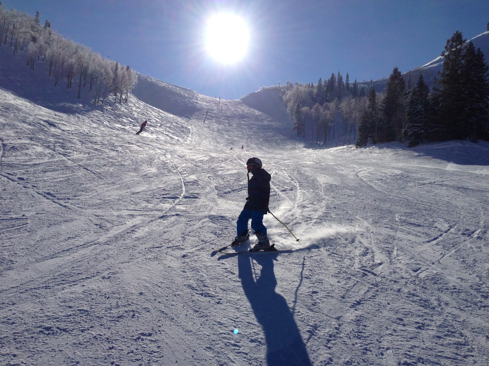 a work in progress: Skiing