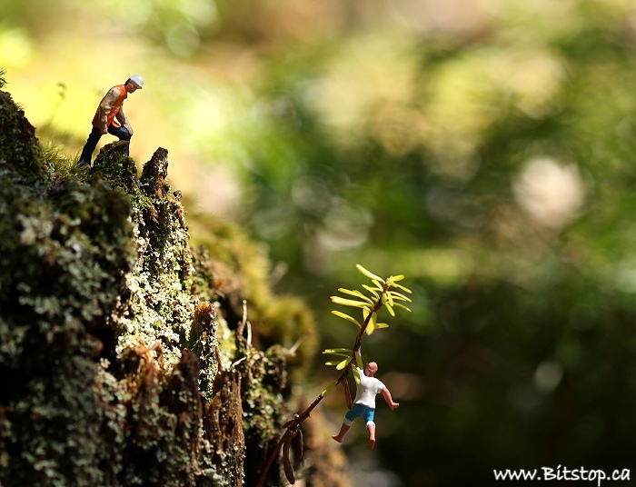 Bitstop: Mini People in the Woods