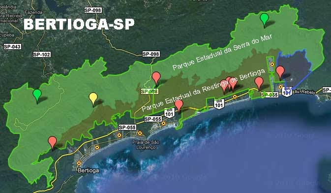 Família das Orquídeas: Litoral de São Paulo - Bertioga