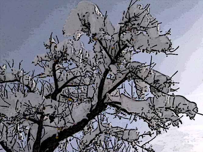 Fall or Four Seasons Bulletin Board for Sunday School | Art Education Daily