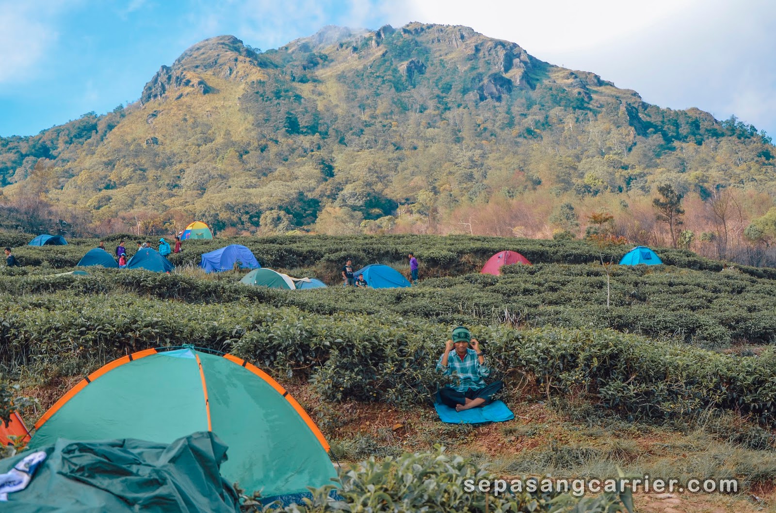 Pendakian Gunung Ungaran Via Mawar - SEPASANGCARRIER