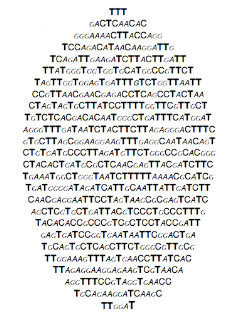 Waters I Have Known: DNA | Science, Art & Music