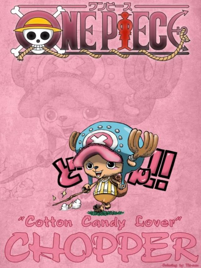 Historia One Piece: Historia One Piece