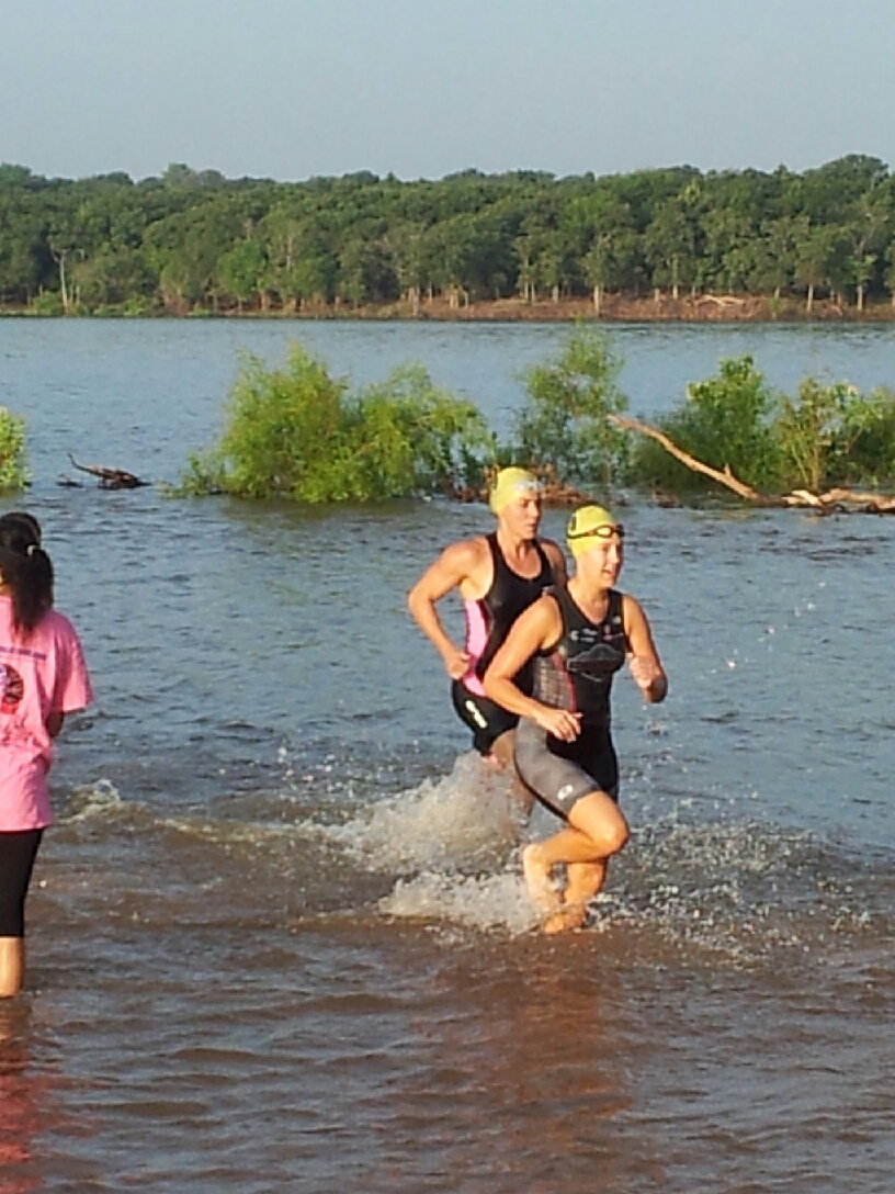 Emily Sutton: Catch Up