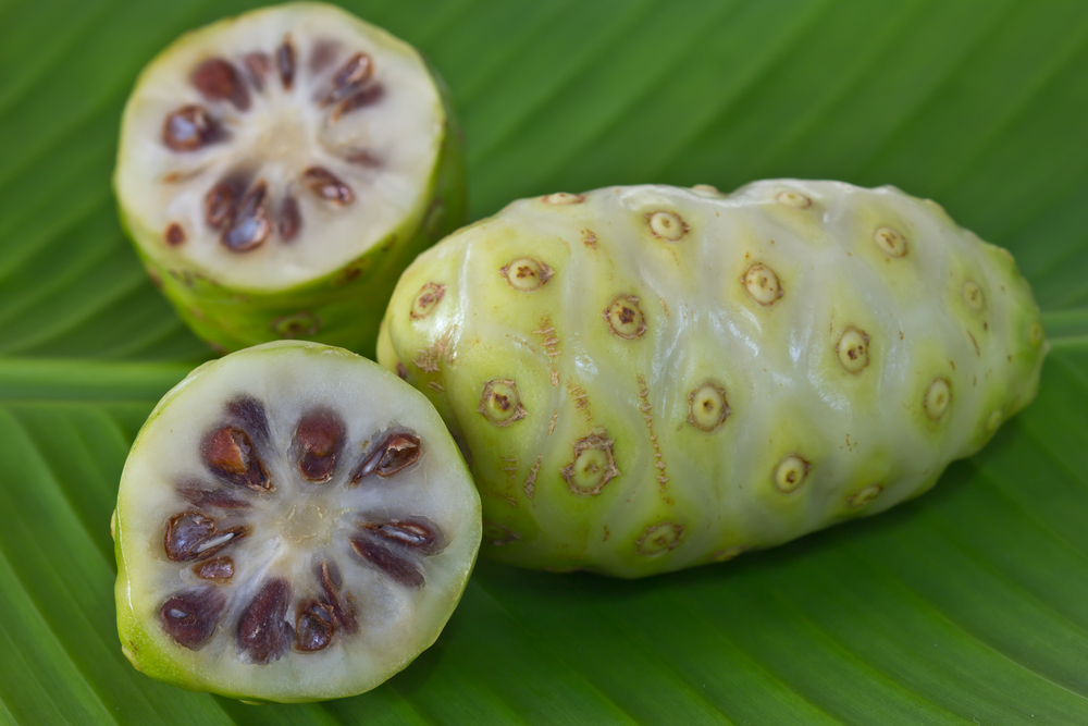 BetaniaCaneca.: NONI, O FRUTO ASIÁTICO QUE É UM GRANDE SUCESSO & EFICAZ ...