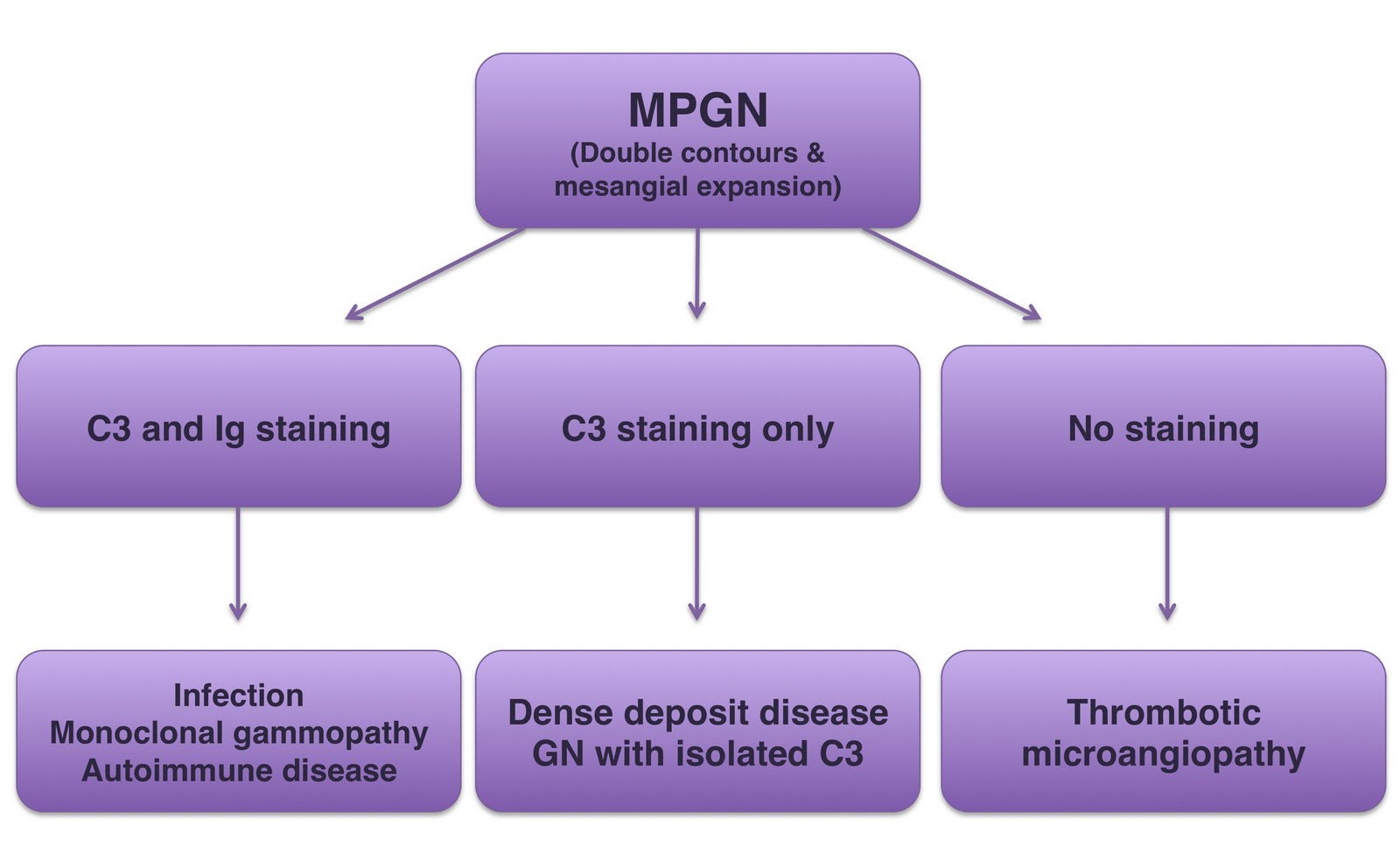 Renal Fellow Network: MPGN: Think Different