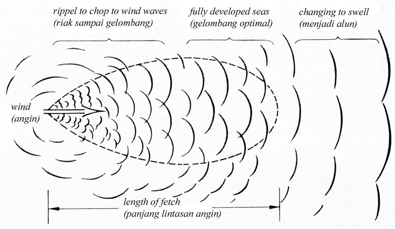 Jenis-jenis Gelombang Menurut Penyebabnya : Seiche, Wind Generated Wave ...