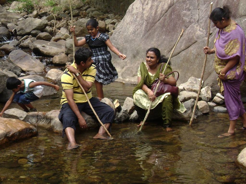 Nature Enthus - DLC : Rajathottam - The Ruler's Choice