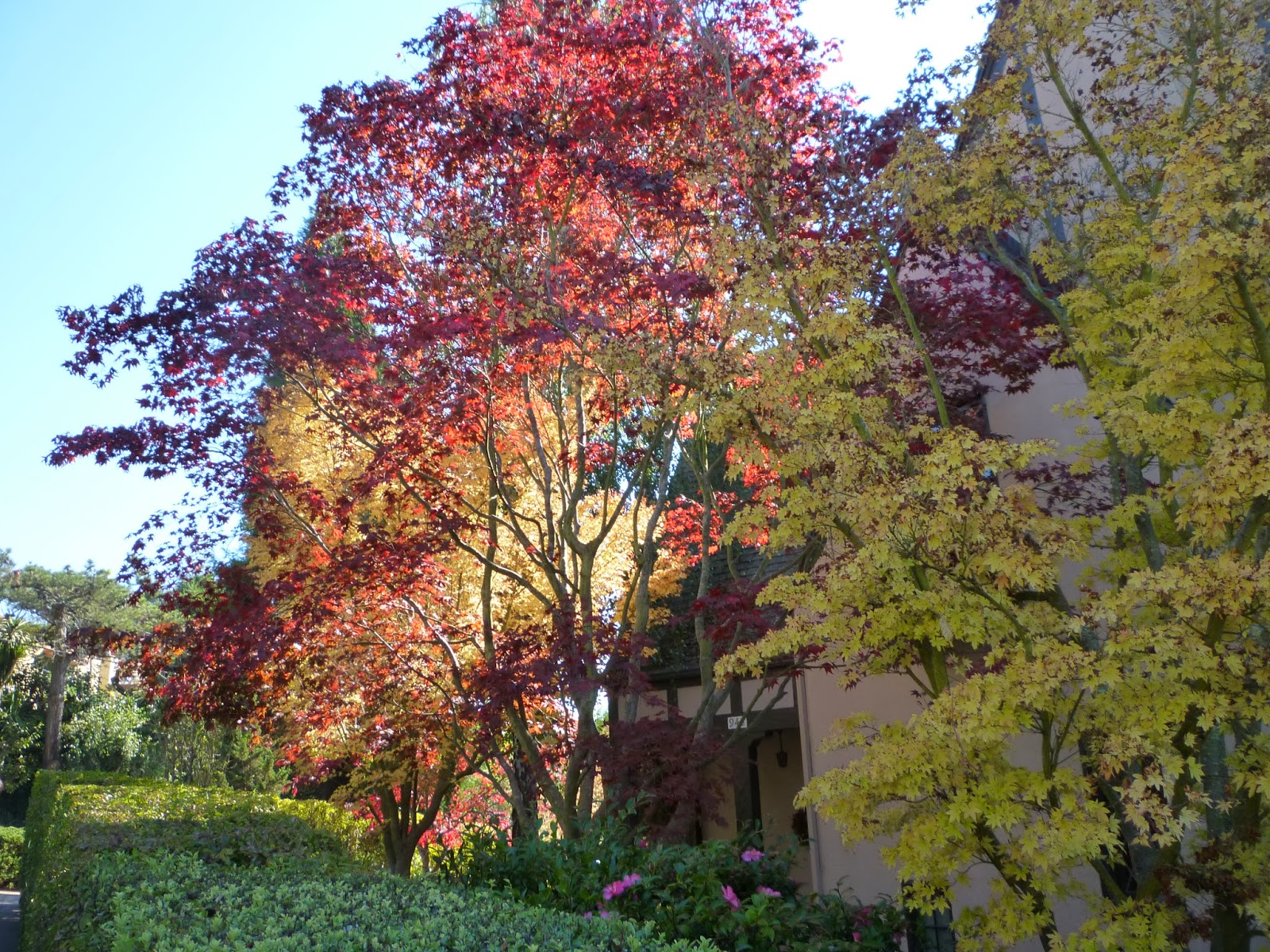 Gladsome Lights: How long will the rocks of Berkeley last?