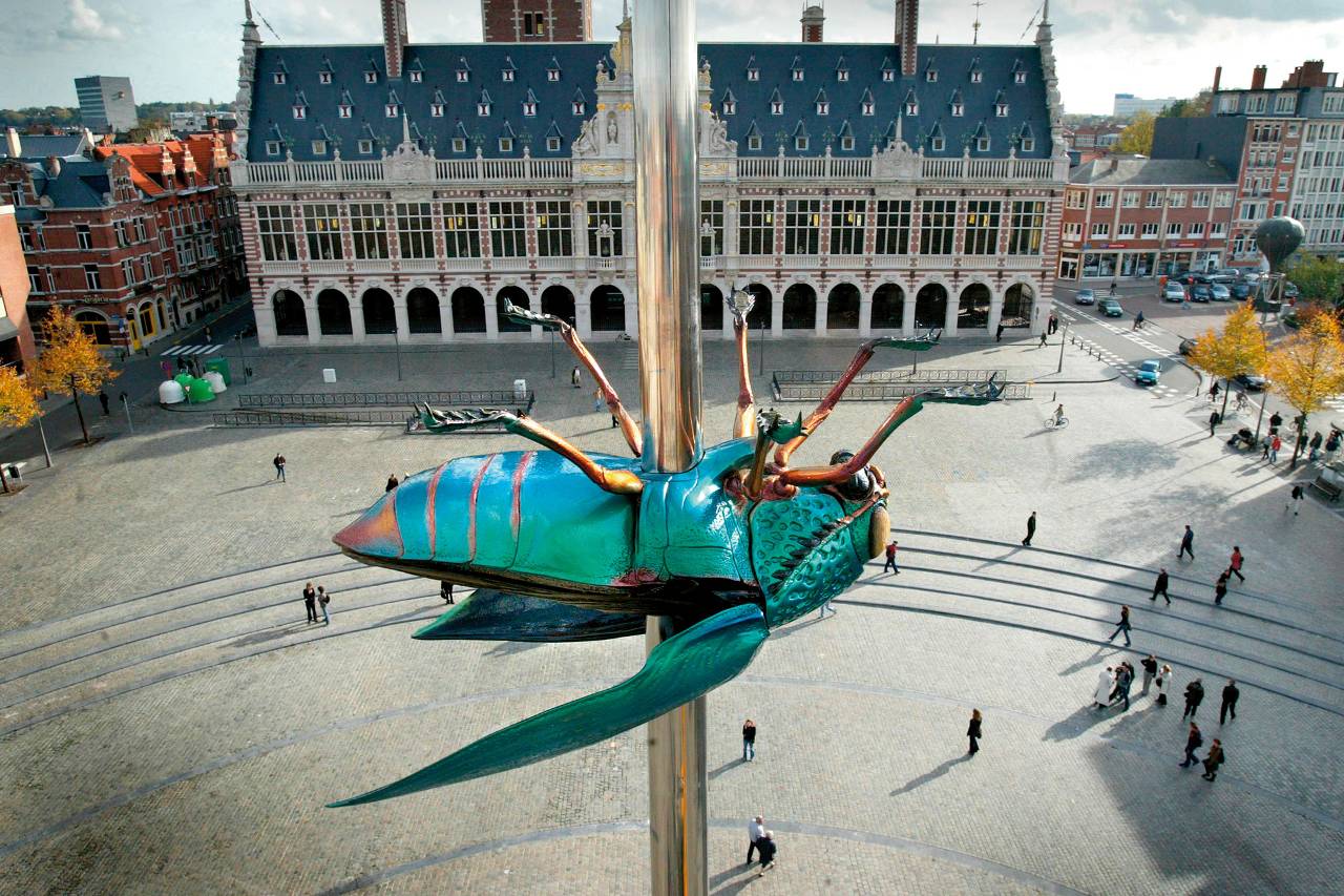 The giant jewel beetle of Leuven
