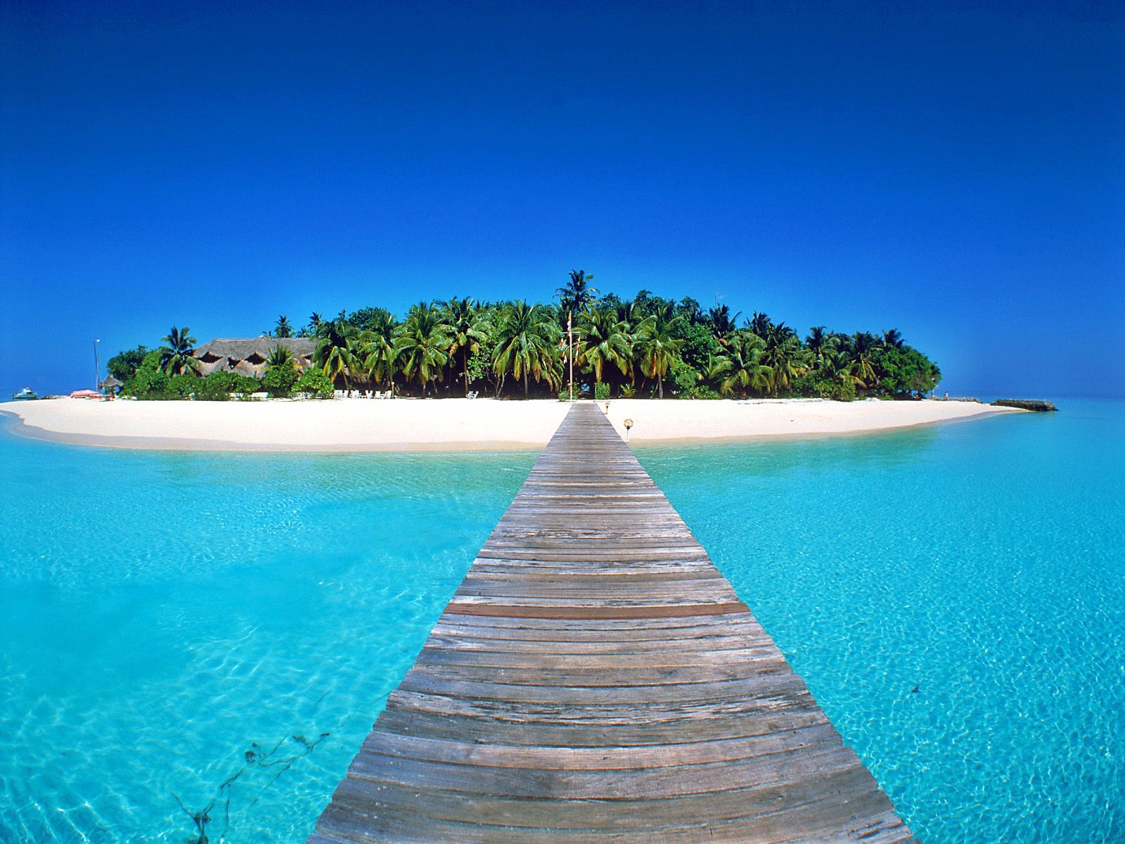 Wallpaper India: 40 Nature New HD Wallpapers 1600 X 1200