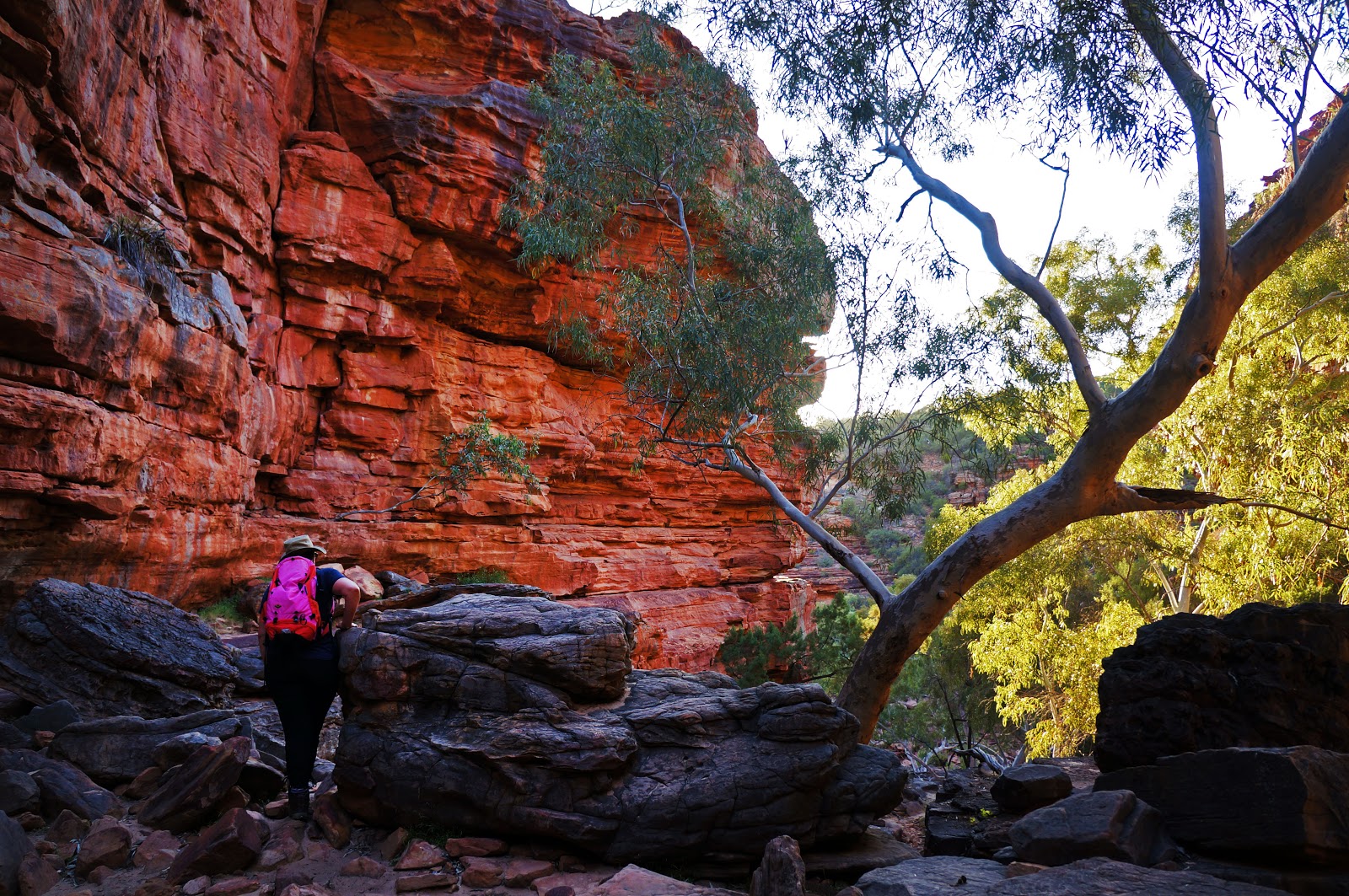 Z Bend River Trail (Kalbarri National Park) ~ The Long Way's Better