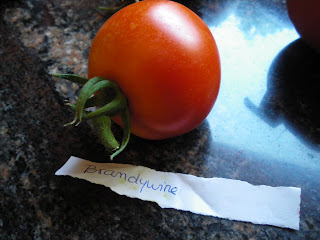 Huerto: Tomates 2012