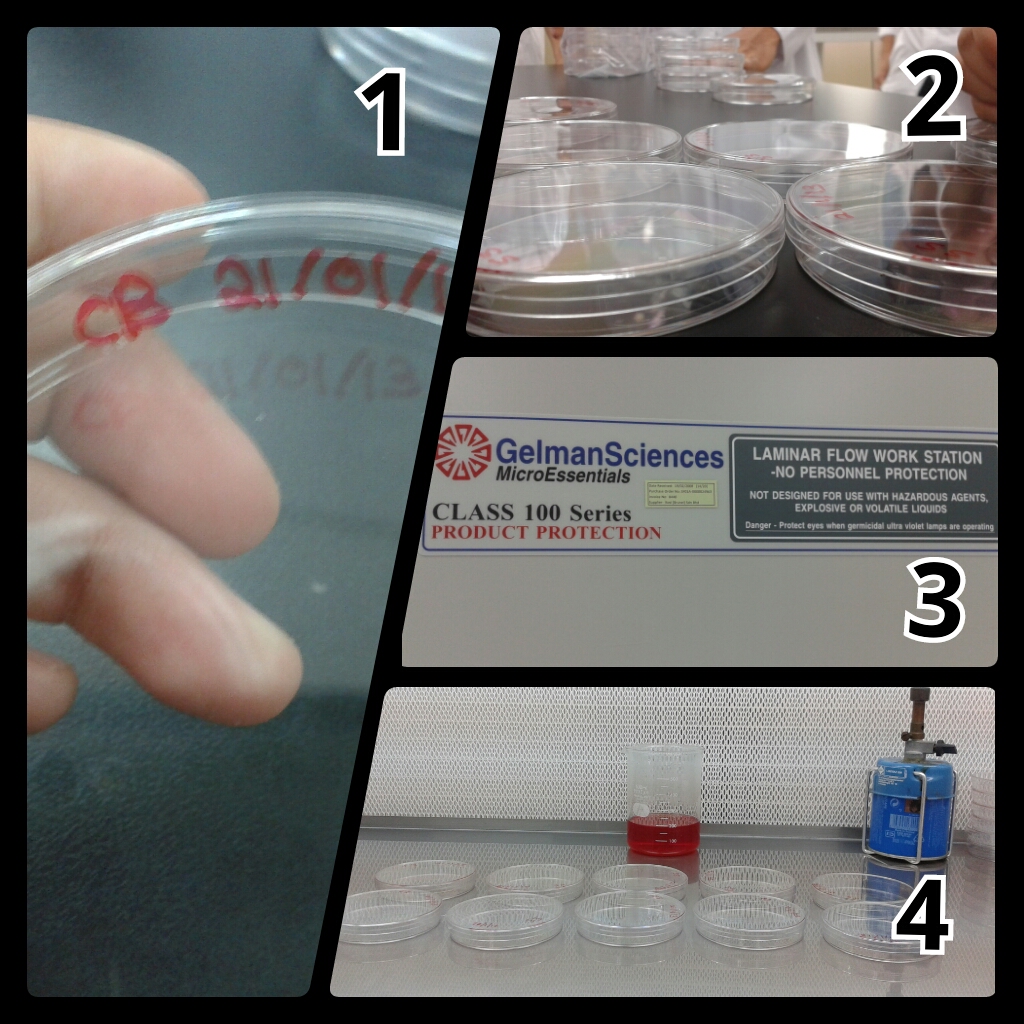 Share & Tell: Microbiology : Making Agar Plates.