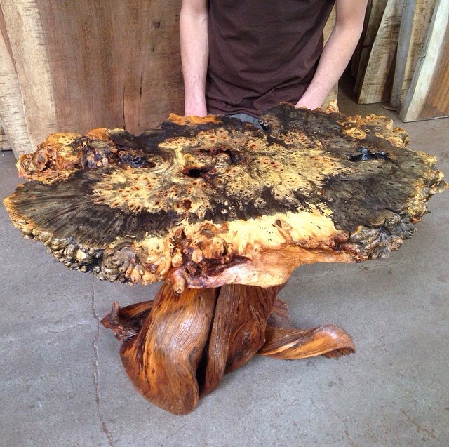 Tropical Exotic Hardwoods: For Sale: Buckeye burl/Juniper root end table!