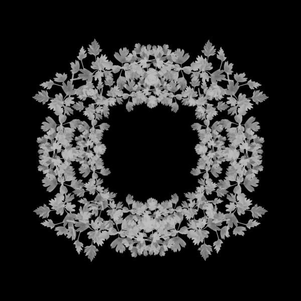 Lori's PSP Graphics: Few Fall Masks!