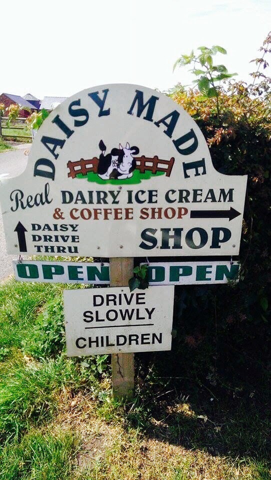 Daisy Made Ice Cream | Brick Dust & Glitter