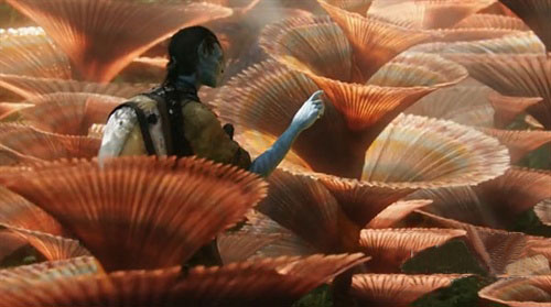 The Bard's Grove: Avatar: Taurus, Spiritual Matter, Mother Earth & Our ...