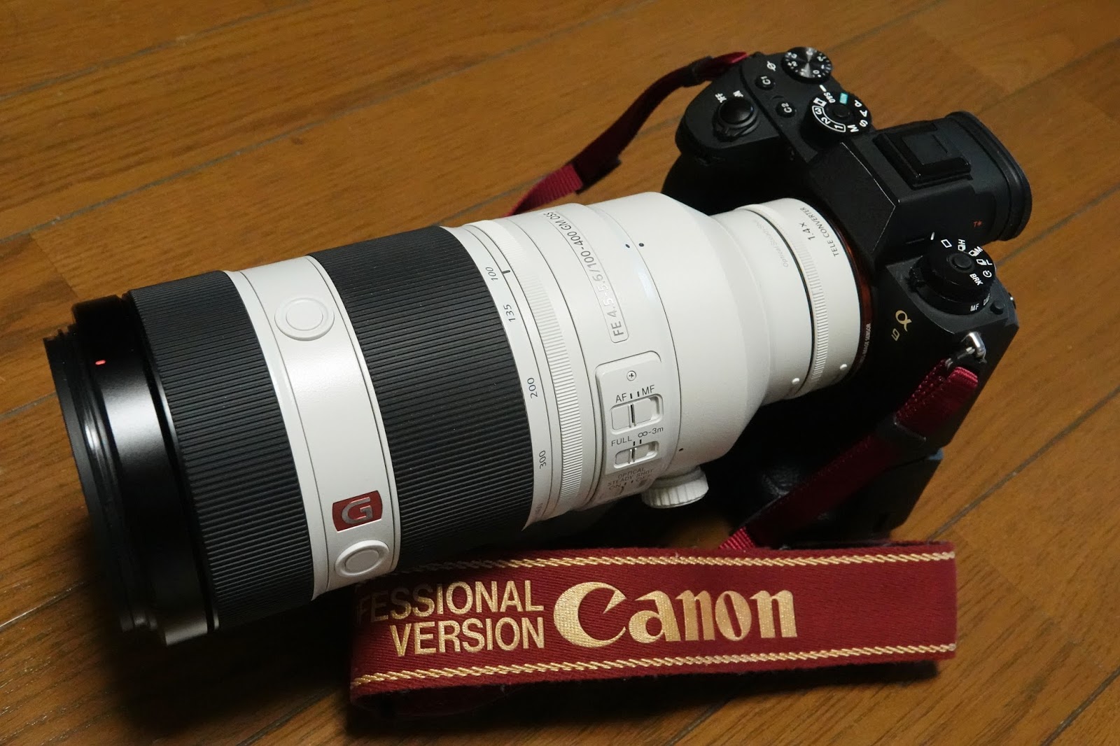 SONY FE 100-400mm F4.5-5.6 GM OSS + SEL14TC | Photo of the Life