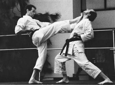 G-BIOMECH: Biomechanical Analysis of Mae Geri