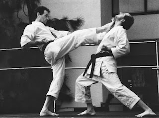 G-BIOMECH: Biomechanical Analysis of Mae Geri