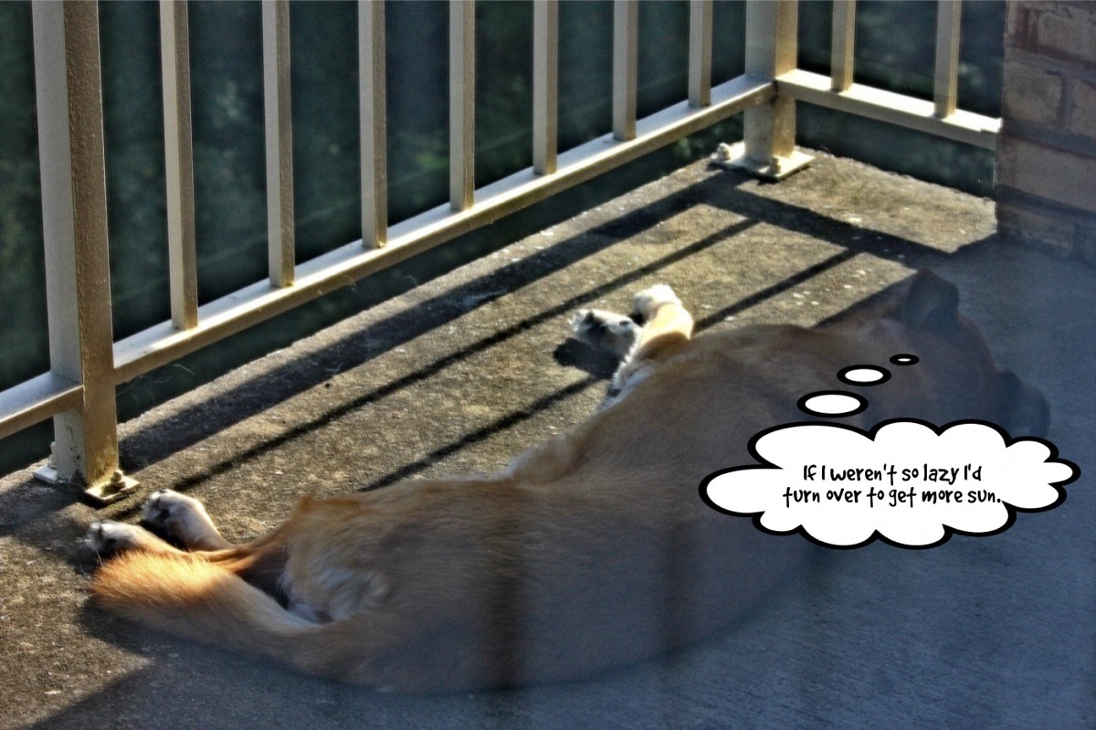 Vivien's Thoughts: 2018