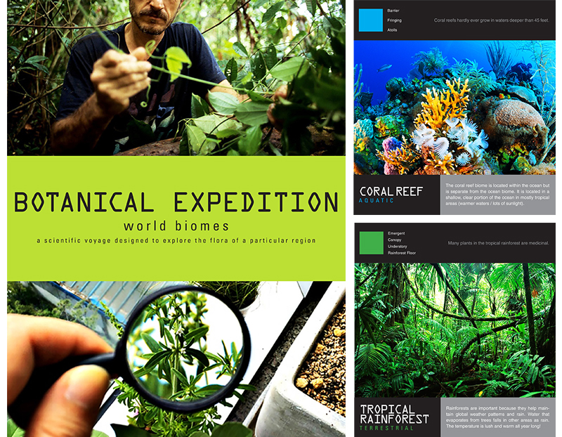 E is for Explore!: Botanical Expedition