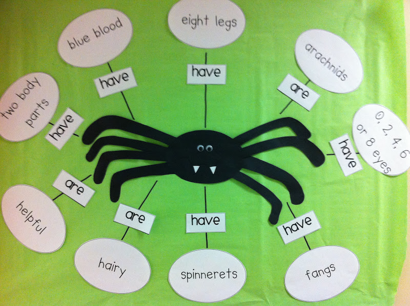 Welcome to Room 36!: spiders and a freebie
