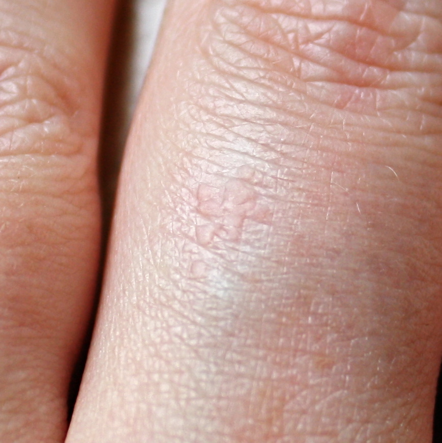 The Maren Update!: 2012