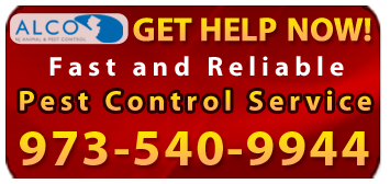 Alco Pest Control: Pest Control in NJ