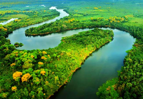 Sitios Turisticos: Rio Amazonas, Pulmon del mundo.