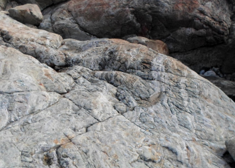 bensozia: Metamorphic