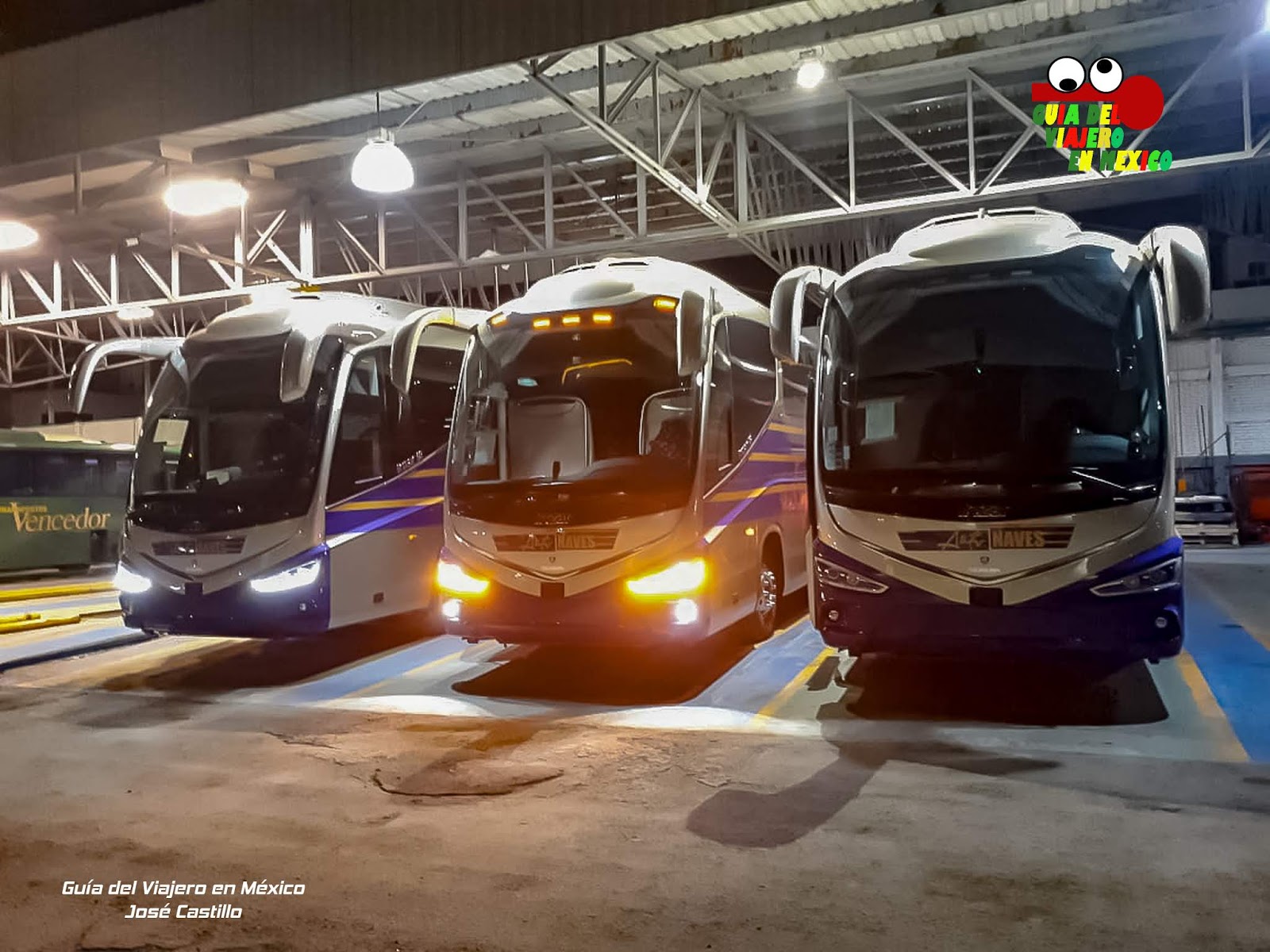 La Mejor línea de Autobuses de México en el otoño 2021