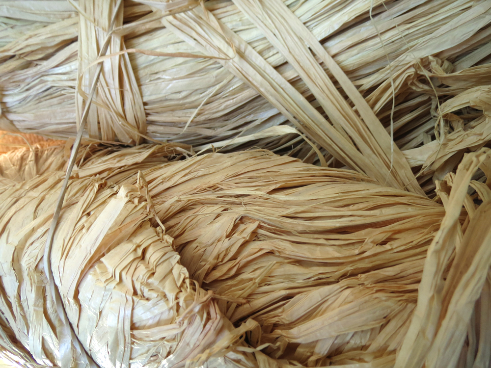 Serendipia: Rafia natural