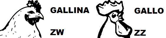 La Mitocondria: XX, XY, X0, ZZ, ZW o como complicarse la vida a la hora ...
