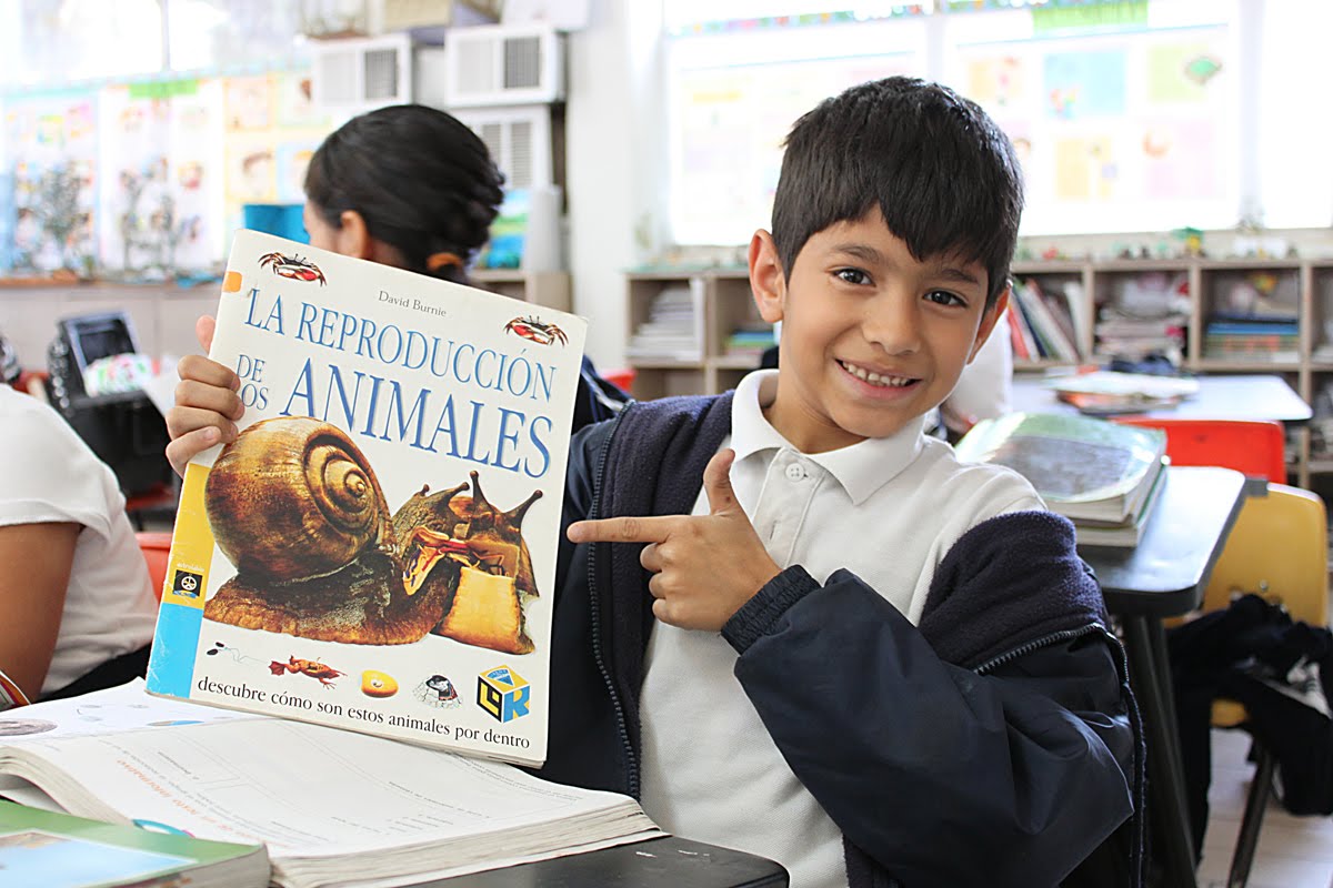 Educación BC: ENTREGA SEE MÁS DE 15 MIL PAQUETES DE LIBROS EN ESCUELAS ...