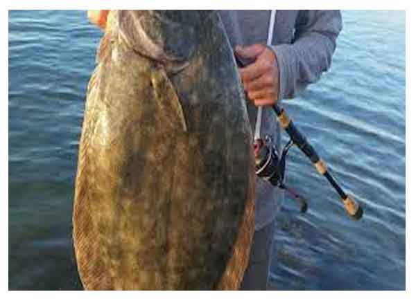 Top 5 video flounder fishing | How to catch flounder - flounder
