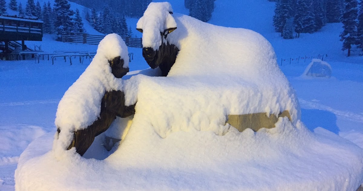 Al's Blog: 7 Inches At Report Time, Snowing Heavily