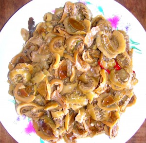 Trajectories: Food for the “aliens”