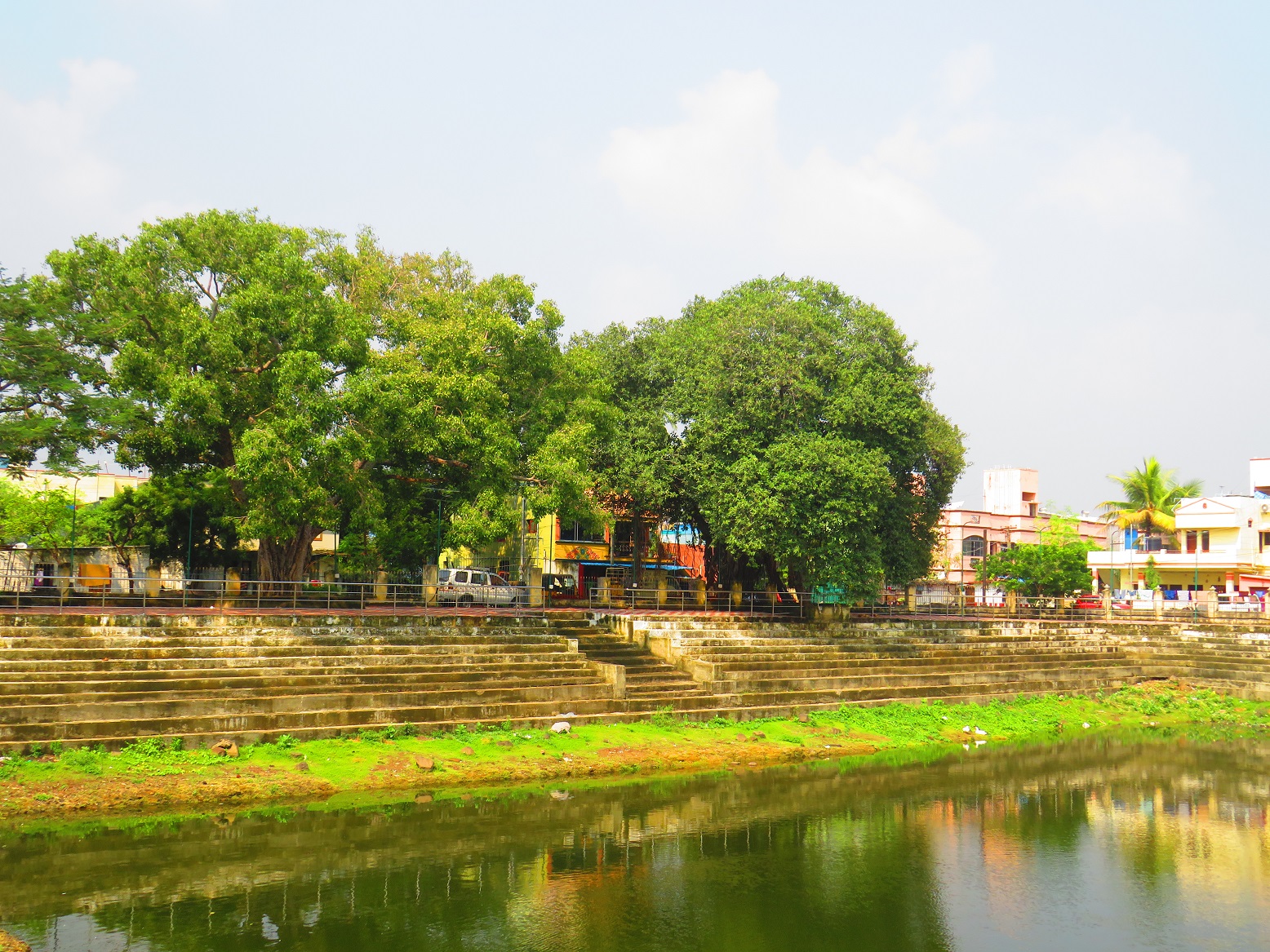 Perumal Kovil Kulam, Selaiyur (Waterbodies of Chennai - 15)